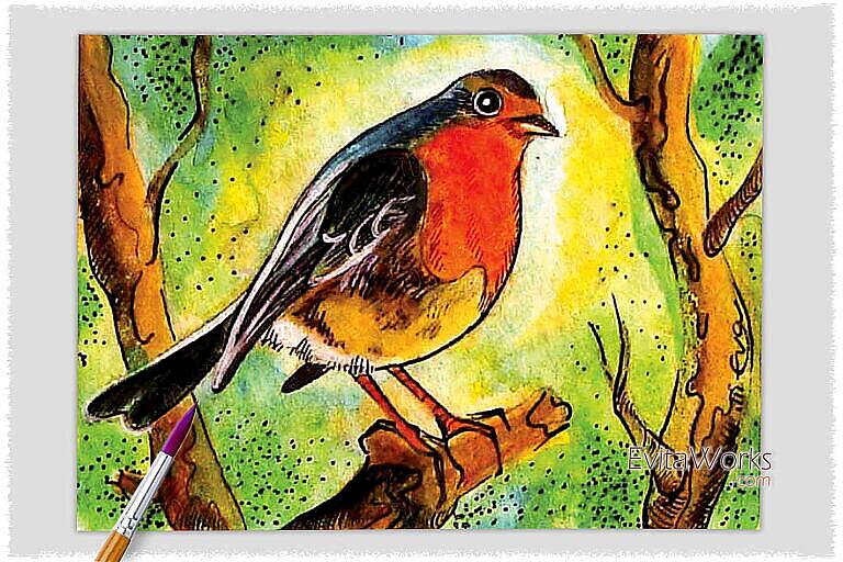 Bird in nature illustration 06 ‹ EvitaWorks