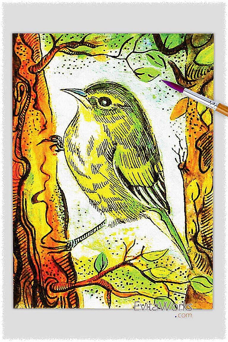 Bird in nature art illustration 13 ‹ EvitaWorks